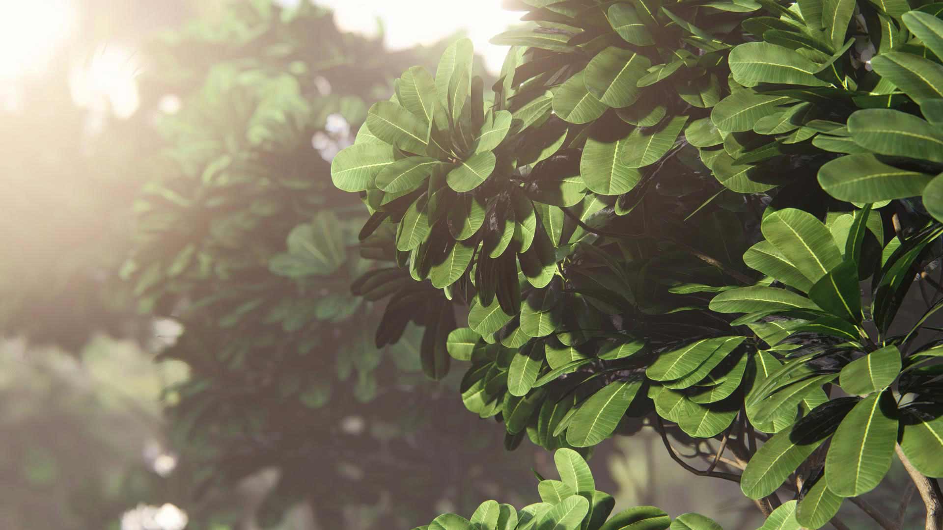 Galerie photos Lumion 2023 | Logiciel rendus 3D photo-réalistes